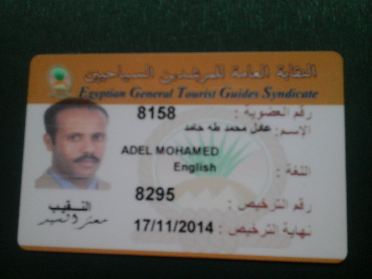Egyptian Car License Ocr Object Detection Dataset By - vrogue.co Egyptian Car License Ocr Object Detection Dataset By - vrogue.co