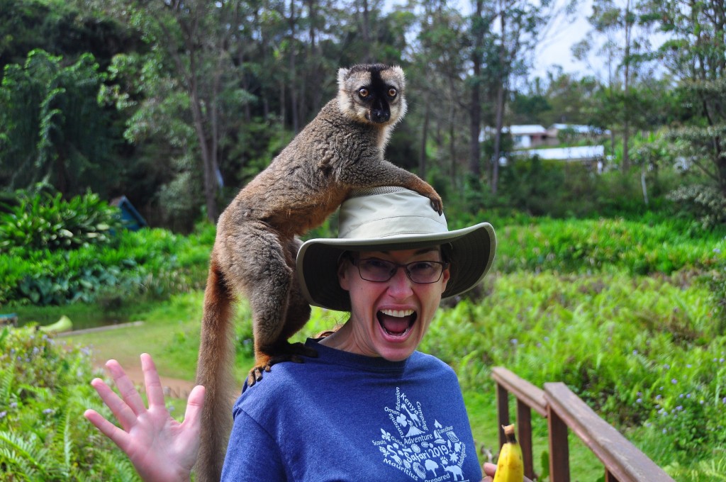 Sightseeing Nature tour in Andasibe. Wildlife full day tour to Andasibe ...
