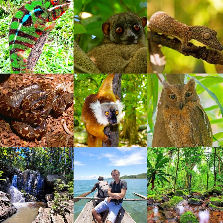 Adventure tour in Andoany. Visit Lokobe National Park in NosyBe. Guided ...