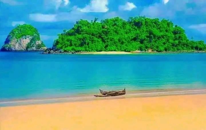 Eco and Wildlife tour in Andoany. Nosy be Island tour. Guided tour in ...