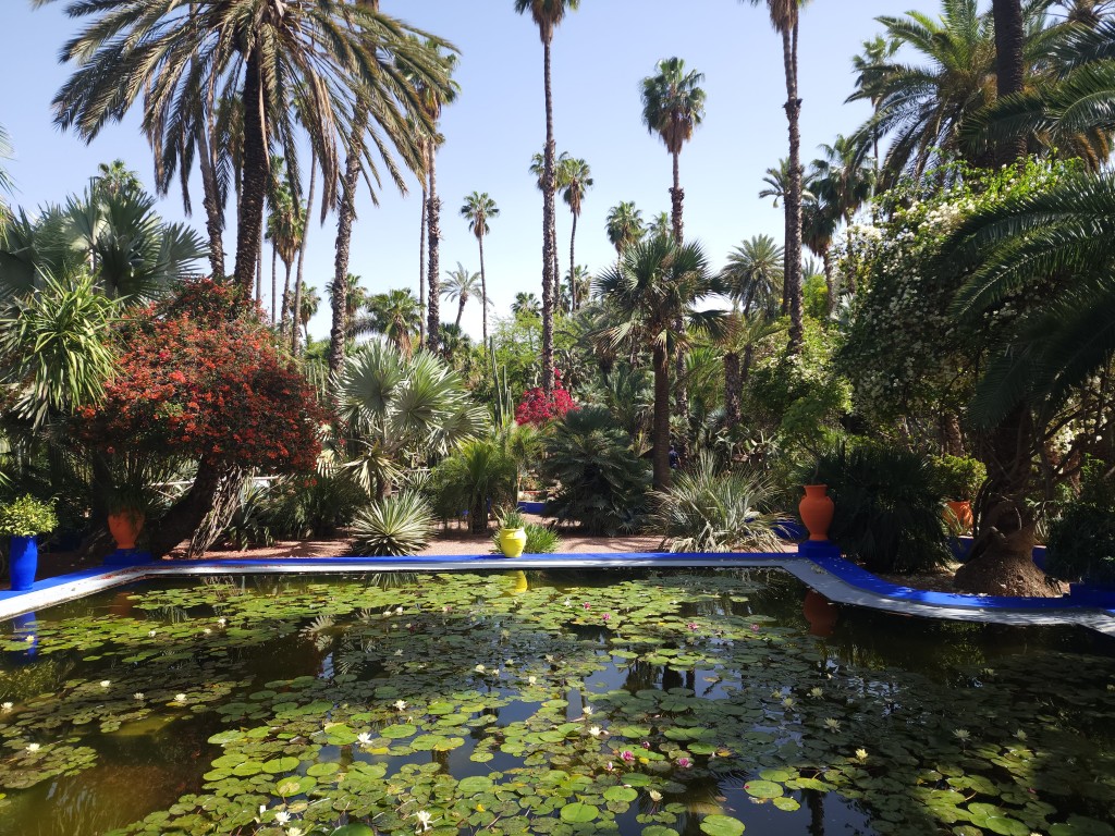 Sightseeing Nature tour in Marrakech. Marrakesh Gardens. Guided tour in ...
